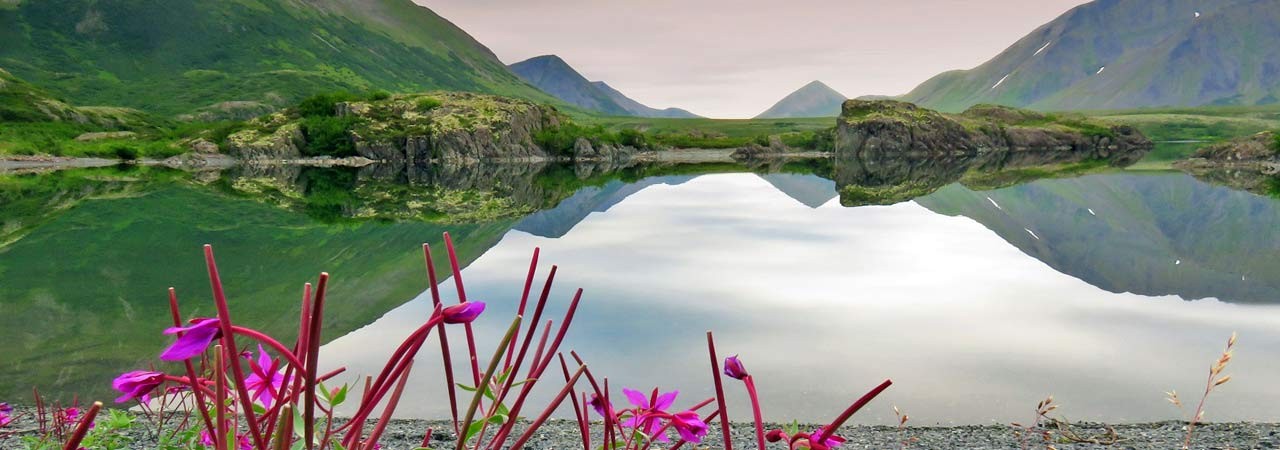 Dillingham Alaska Lodging - Beaver Creek Bed and Breakfast