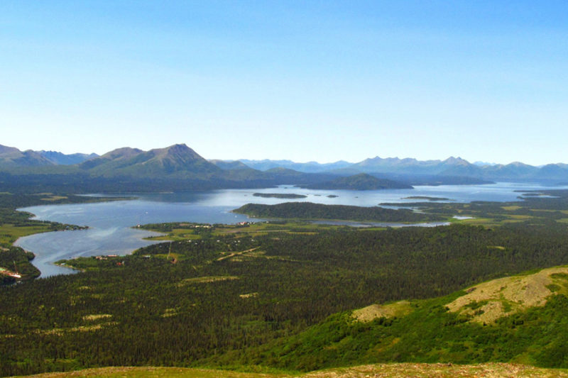 Dillingham Alaska and Beaver Creek B&B Welcome you!